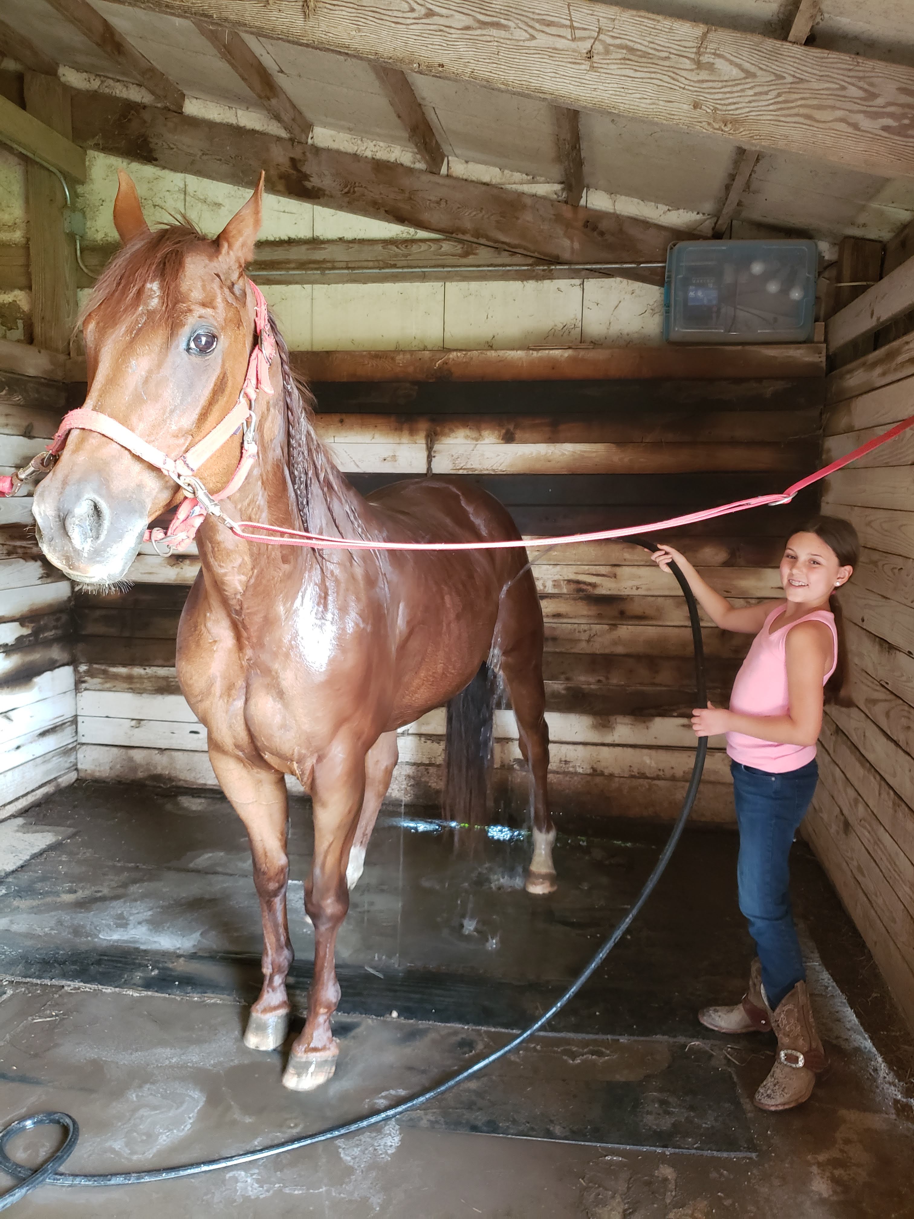 Cooling off on a HOT summer day. – Easy Ridin' Equestrian